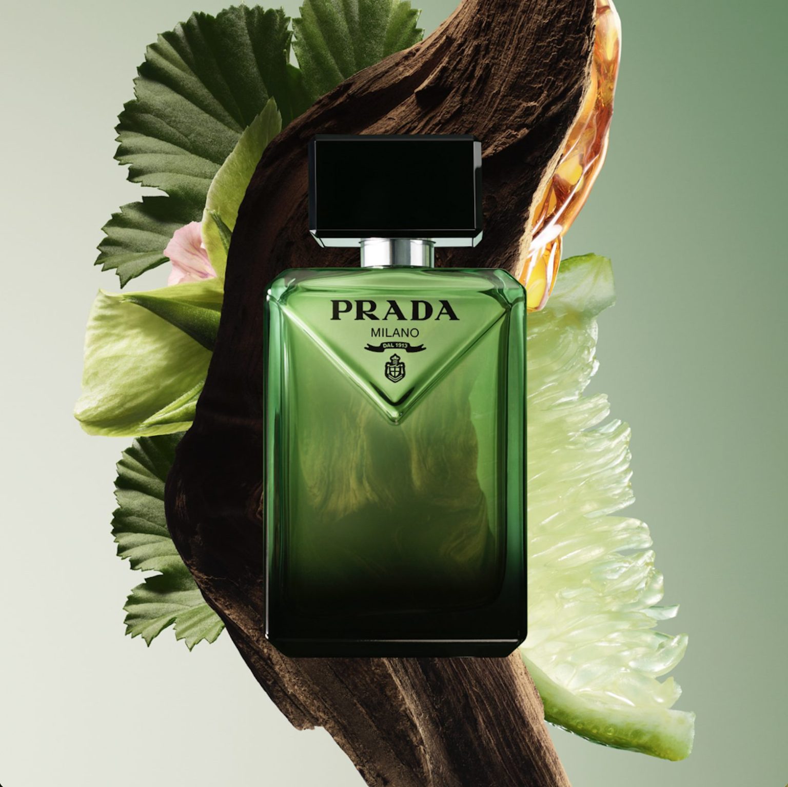 PRADA PARADIGME - Obsession Luxe